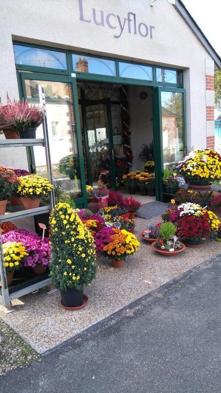 Lucy Flor Mur-de-Sologne Fleuriste - BestFleuriste